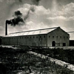 History - CSBP